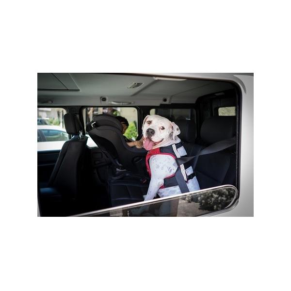 中型犬〜大型犬のためのドライブ時における安全ハーネス。　ペットにもシートベルトで固定し、安全安心にドライブを！分厚いパッド入りで普段のハーネスとしても役立ちます！　装着も簡単です！　本国アメリカで衝突実験テスト実施済み。※ご購入時には画像の...