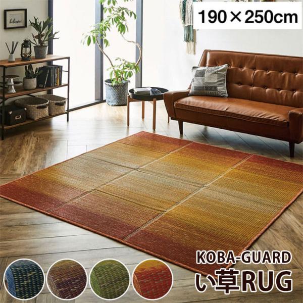 ラグ い草 小林製薬 持続性抗菌剤 約190×250cm KOBA-GUARD 制菌 抗菌防臭 滑り止め 不織布 グラデーション オ