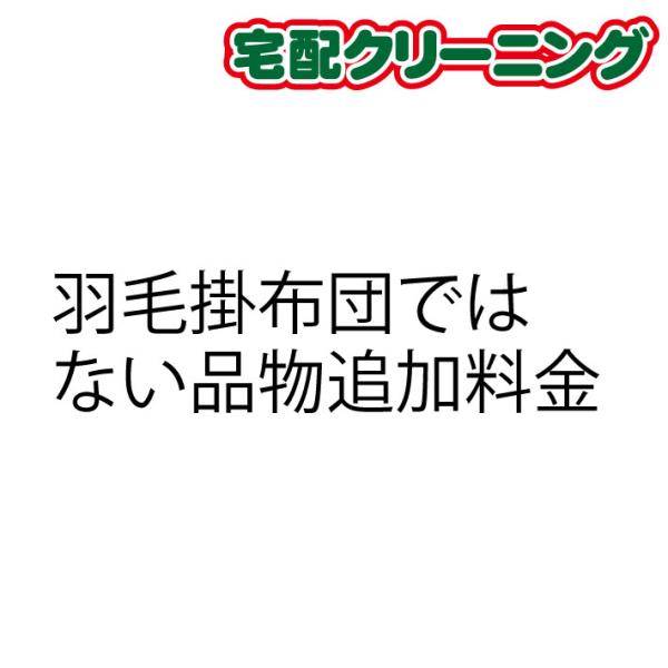 羽毛掛け布団ではないもの追加料金