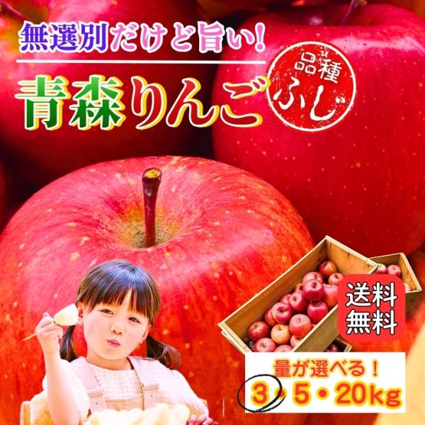 青森県から当店が直接仕入れを行っている【青森県産りんご】３キロ