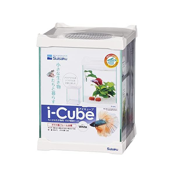 「水作 i-cube(アイキューブ) ホワイト」▼4974105007713▼（商品説明）小型・ホワイト  238431・ちいさな生き物用マルチ飼育ケース説明  商品紹介  アクアリウムやテラリウムを手軽に楽しむことができる小型マルチケース...
