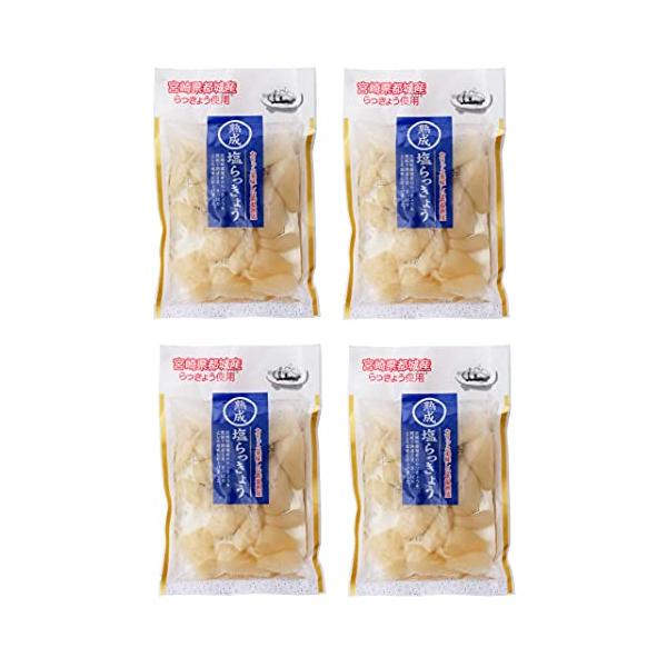 「上沖産業 熟成 塩 らっきょう/らっきょう漬け 80g×4」▼4990022439819▼（商品説明）-/80グラム (x 4)/-・パッケージ個数:4・カリッと歯切れ抜群の塩らっきょうです・原材料:らっきょう、漬け原材料〔食塩〕/調味料...