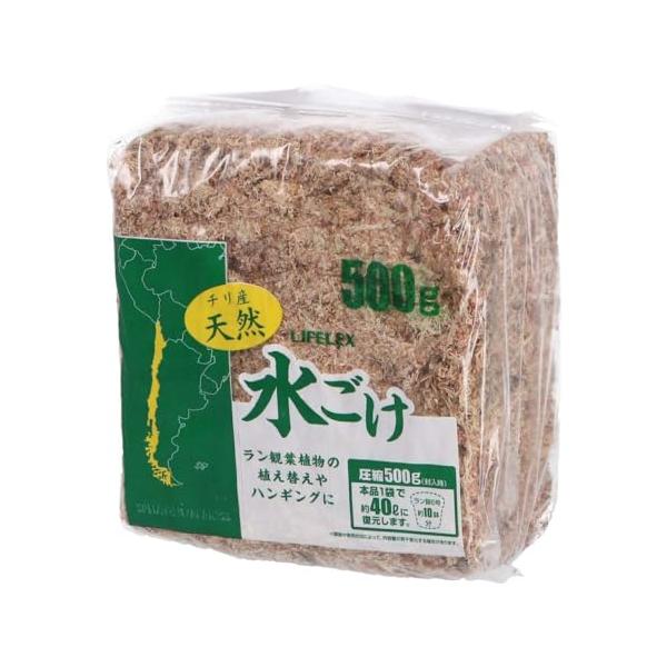 水苔マルチ/-/-・パッケージ個数:1・本品は南米チリから直輸入された自然乾燥・高品質の天然水苔です。保水力、保肥力にすぐれ、山野草、洋ランの植え替えやハンギングバスケット、挿し木、用土の乾燥防止に最適です。・使用する前に、水を入れた容器に...