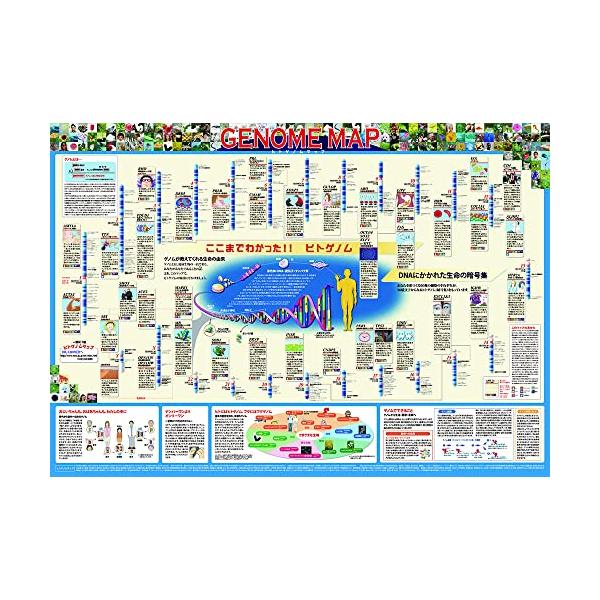 カジュアルマルチカラー/長さ59.4 cm x 幅42 cm/-・パッケージ個数:1・商品サイズ：A2判（420mm×594mm）・ポスターはA4サイズに折りたたんだ状態でのお届けとなります。