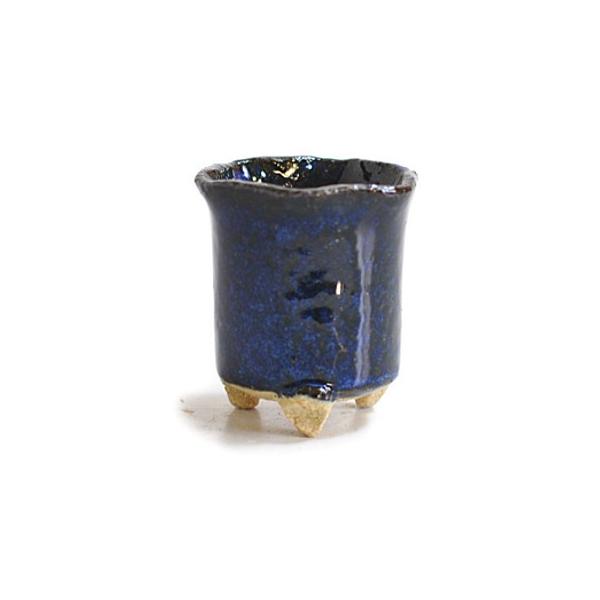 花がひらいたようなフチの2号鉢です。バラが似合います。幅 6cm × 樹高 7cm幅6cm×高さ7cm