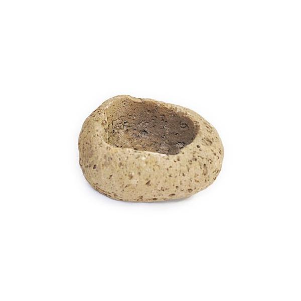 松などの植替えにおすすめです。根元には苔をあしらい,鉢とは一味違う雰囲気を楽しめるかと思います。幅 15.0  cm前後 × 高 6.0  cm前後