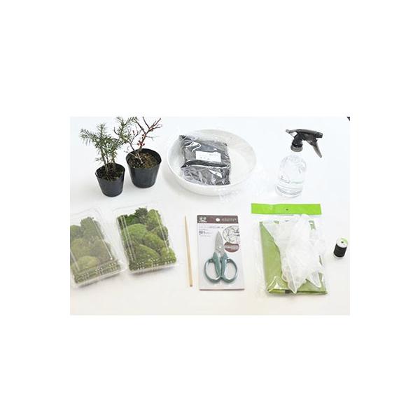 苔玉作りセット 季節の山野草2種類季節の山野草2種類と苔玉作りセット見た目も可愛らしい苔玉を自分で作ってみたい方に。はじめてでも大丈夫!作り方のテキスト冊子と、季節の山野草が2種類と作る材料がセットに。※受け皿は付属いたしません。※ギフトラ...