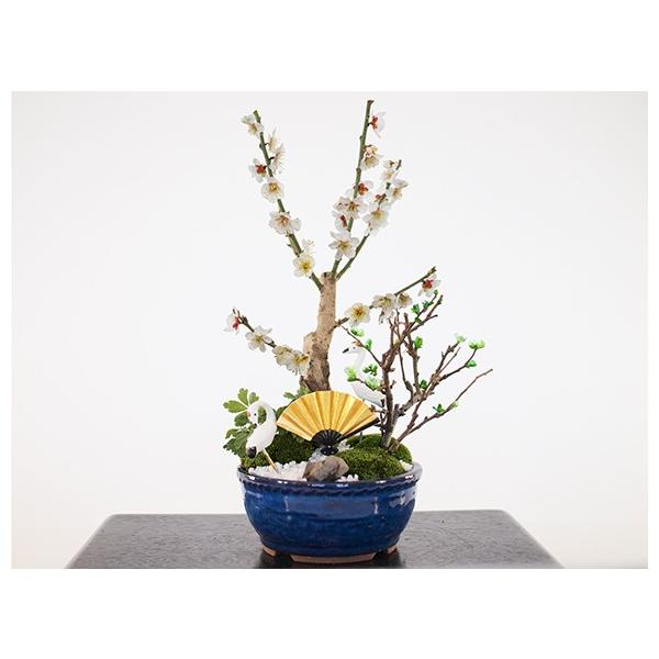 こぶりな4号鉢に縁起の良い梅が盛りだくさん 梅づくし 寄せ植え 4号寒中を耐え良い香りで花開き、春の訪れを知らせることから「喜びの象徴」とされる梅をぎゅっと4号鉢に寄せ植えしました。良い香りで春を迎えましょう。穢れのない白さを表す白でまとめ...