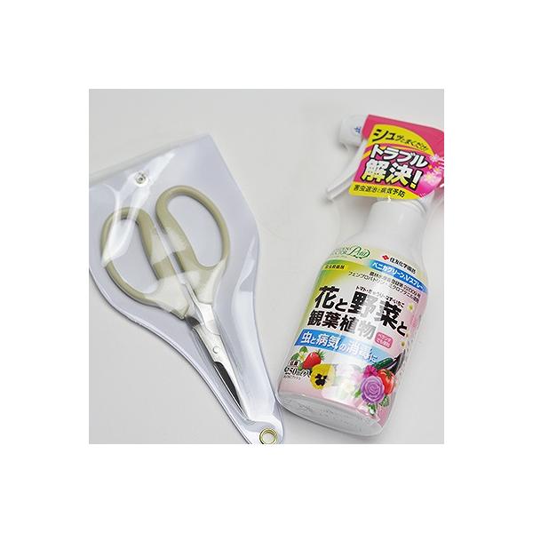 初心者必携盆栽道具セット園芸はさみ 殺菌殺虫剤　盆栽はじめる 初心者 最低限セット 入門 盆栽お手入れ デビュー 盆栽妙