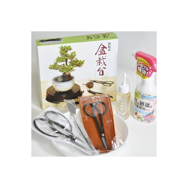 盆栽道具7点セット 盆栽はさみ 小枝切りはさみ 刃物油 盆栽回転台 ピンセット 殺菌殺虫剤 作業用受け皿  盆栽 盆栽道具 初心者 デビュー 盆栽はじめて 盆栽入門　盆栽お手入れ 盆栽鋏 ハサミ 盆栽妙