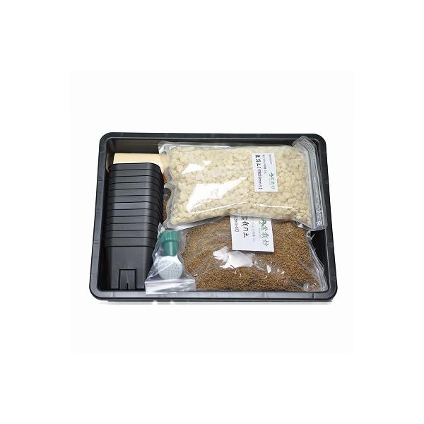 種から育てる盆栽 生産者栽培キット
