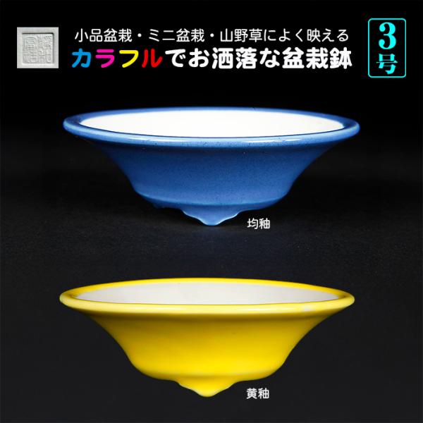 サイズ：口径9cm高3cm商品解説　色鮮やかな発色が魅力の静和富造。某商社が輸出用に製作したのもので、鉢の胎土（磁器）から瀬戸で作られたものと思われます。しかしこの色鮮やかな釉薬の仕上がりは京焼との説もあり、実際にその一部は京焼として盆栽業...