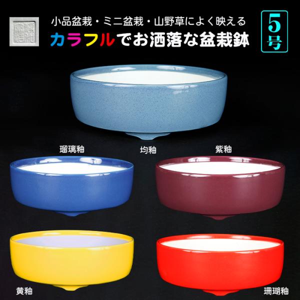 サイズ：口径14.5cm高5cm商品解説　色鮮やかな発色が魅力の静和富造。某商社が輸出用に製作したのもので、鉢の胎土（磁器）から瀬戸で作られたものと思われます。しかしこの色鮮やかな釉薬の仕上がりは京焼との説もあり、実際にその一部は京焼として...