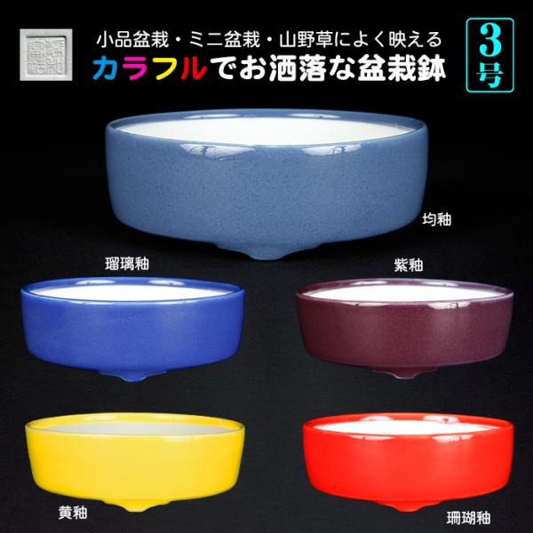 サイズ：口径9cm高3cm商品解説　色鮮やかな発色が魅力の静和富造。某商社が輸出用に製作したのもので、鉢の胎土（磁器）から瀬戸で作られたものと思われます。しかしこの色鮮やかな釉薬の仕上がりは京焼との説もあり、実際にその一部は京焼として盆栽業...