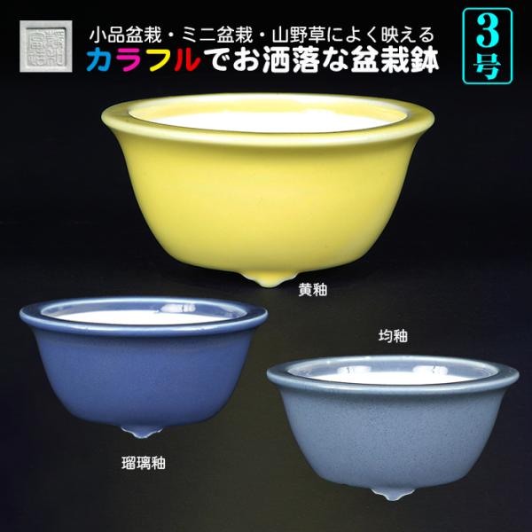 サイズ：口径9cm高4cm商品解説　色鮮やかな発色が魅力の静和富造。某商社が輸出用に製作したのもので、鉢の胎土（磁器）から瀬戸で作られたものと思われます。しかしこの色鮮やかな釉薬の仕上がりは京焼との説もあり、実際にその一部は京焼として盆栽業...