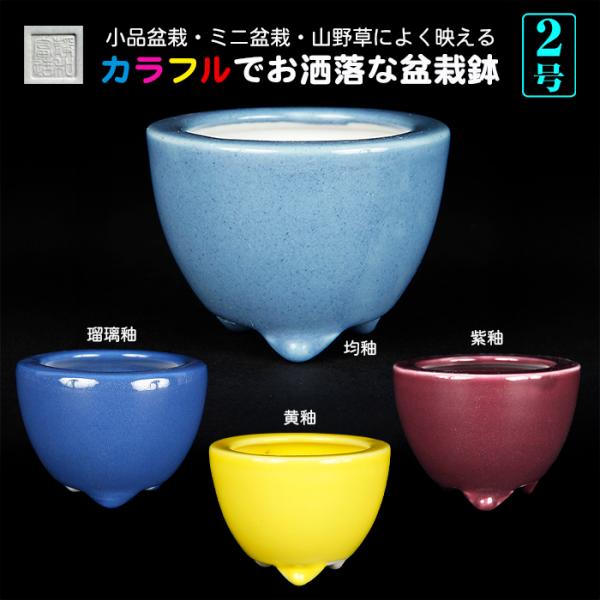 サイズ：口径6cm高4.5cm商品解説　色鮮やかな発色が魅力の静和富造。某商社が輸出用に製作したのもので、鉢の胎土（磁器）から瀬戸で作られたものと思われます。しかしこの色鮮やかな釉薬の仕上がりは京焼との説もあり、実際にその一部は京焼として盆...