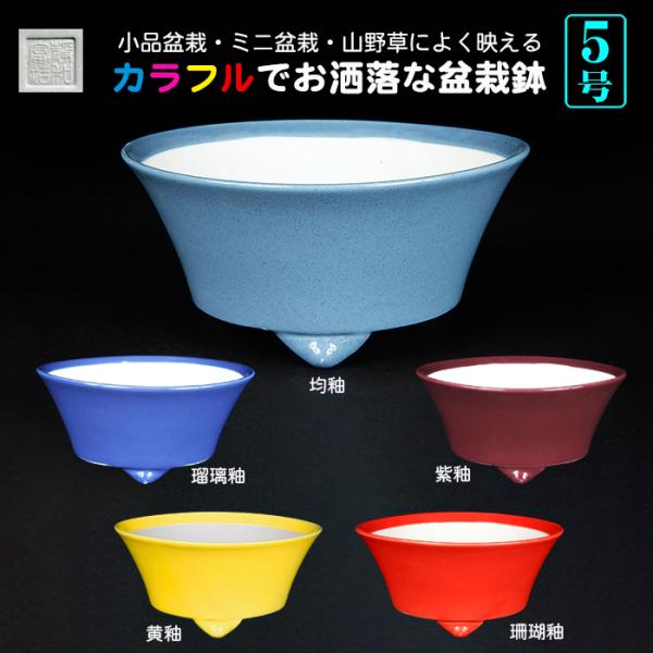 サイズ：口径14.5cm高7cm商品解説　色鮮やかな発色が魅力の静和富造。某商社が輸出用に製作したのもので、鉢の胎土（磁器）から瀬戸で作られたものと思われます。しかしこの色鮮やかな釉薬の仕上がりは京焼との説もあり、実際にその一部は京焼として...