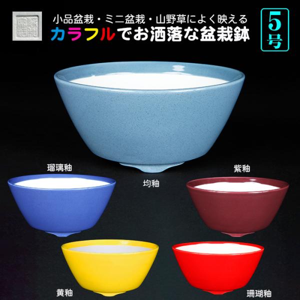 サイズ：口径14.5cm高7cm商品解説　色鮮やかな発色が魅力の静和富造。某商社が輸出用に製作したのもので、鉢の胎土（磁器）から瀬戸で作られたものと思われます。しかしこの色鮮やかな釉薬の仕上がりは京焼との説もあり、実際にその一部は京焼として...