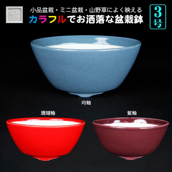 サイズ：口径9cm高4cm商品解説　色鮮やかな発色が魅力の静和富造。某商社が輸出用に製作したのもので、鉢の胎土（磁器）から瀬戸で作られたものと思われます。しかしこの色鮮やかな釉薬の仕上がりは京焼との説もあり、実際にその一部は京焼として盆栽業...