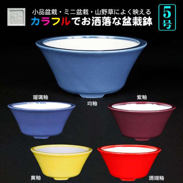 サイズ：口径14.5cm高6.5cm商品解説　色鮮やかな発色が魅力の静和富造。某商社が輸出用に製作したのもので、鉢の胎土（磁器）から瀬戸で作られたものと思われます。しかしこの色鮮やかな釉薬の仕上がりは京焼との説もあり、実際にその一部は京焼と...