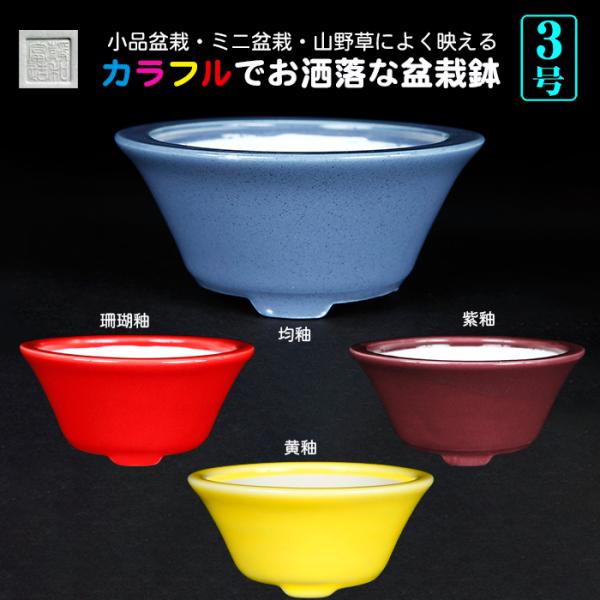 サイズ：口径9cm高4cm商品解説　色鮮やかな発色が魅力の静和富造。某商社が輸出用に製作したのもので、鉢の胎土（磁器）から瀬戸で作られたものと思われます。しかしこの色鮮やかな釉薬の仕上がりは京焼との説もあり、実際にその一部は京焼として盆栽業...