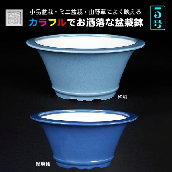 サイズ：口径14.5cm高7cm商品解説　色鮮やかな発色が魅力の静和富造。某商社が輸出用に製作したのもので、鉢の胎土（磁器）から瀬戸で作られたものと思われます。しかしこの色鮮やかな釉薬の仕上がりは京焼との説もあり、実際にその一部は京焼として...