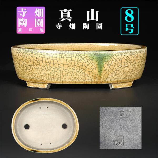 サイズ：左右25.5cm奥行21cm高7cm商品解説　日本のみならず海外の盆栽愛好家の間でも高い人気を誇る瀬戸の名人「真山」。オリジナル配合の胎土を使用して生み出された作品は丈夫で通気性が良く、根付きが良い事が人気の秘訣。外連味のない作風で...