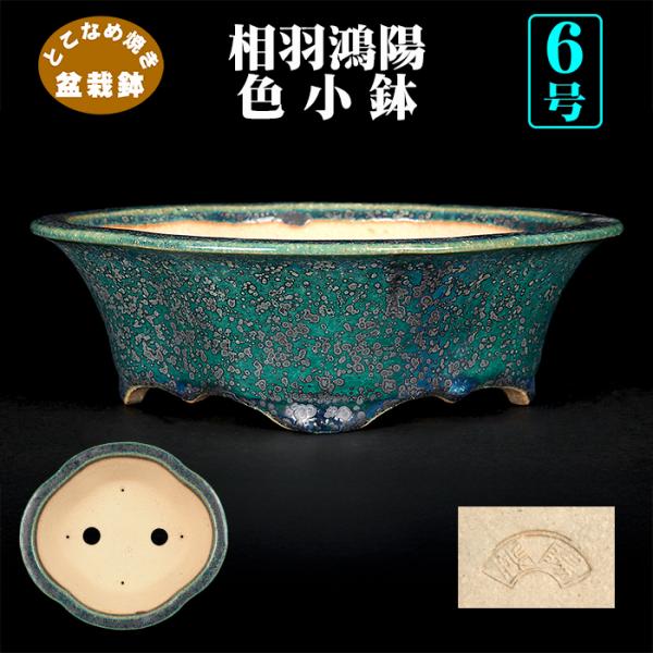 サイズ：左右18.5cm奥行16.5cm高6cm商品解説　常滑の老舗・鴻陽陶園。釉薬に対する造詣には定評があり、窯変など工夫を凝らした釉薬鉢はプロ、愛好家を問わず絶大なる人気を誇ります。こちらで紹介している作品は小品盆栽のトッププロが監修し...