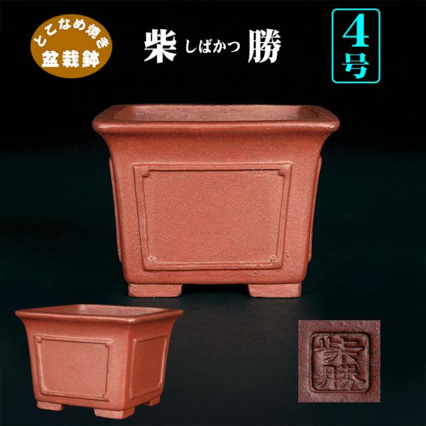 サイズ：一辺12.5cm高9cm商品解説　常滑の中でも小鉢を主体とする柴勝。開窯以来50年を越える作陶の中で生み出された型・色のバリエーションの豊富さには定評がある。使い勝手のよさからプロ・愛好家問わず人気が高い。　深さのある正方鉢。額面の...