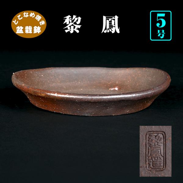 サイズ：口径16.5cm高2.5cm商品解説　常滑の老舗で釉薬鉢の第一人者・黎鳳が手掛けた南蛮鉢。高品質な泥鉢も手がける黎鳳ですが南蛮に使う胎土はまた一味違います。少し粗めの胎土を使うことで味を引き出し、使ってすぐ馴染むよう仕上げています。...