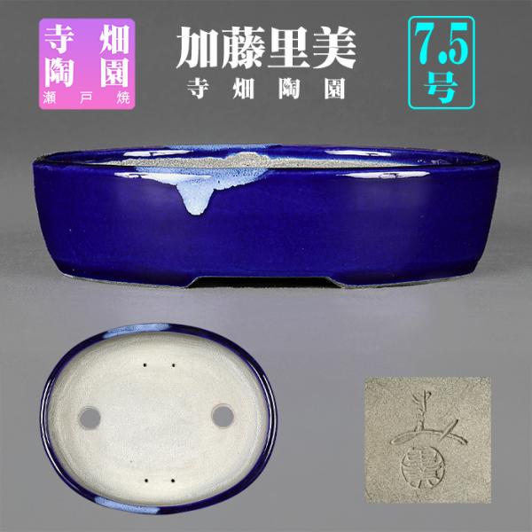 サイズ：左右22.5cm奥行18cm高5.5cm商品解説　瀬戸の盆栽鉢と言えば「寺畑陶園・真山鉢」。その二代目として奮闘中なのが真山氏の次女・加藤里美氏。父・真山氏譲りの外連味のない作風はまさに正統派。瀬戸、常滑、中国の土をブレンドした胎土...