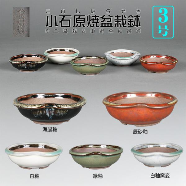 サイズ：口径9.5cm高3cm商品解説　伝統を受け継ぐ釉薬使いの面白さと発色の変化が美しい小石原焼。水捌けの良い胎土は培養面でも優れています。また薄手ながら堅焼されたボディは耐久性も抜群。これだけ高品質ながらリーズナブルな価格設定も魅力。ま...
