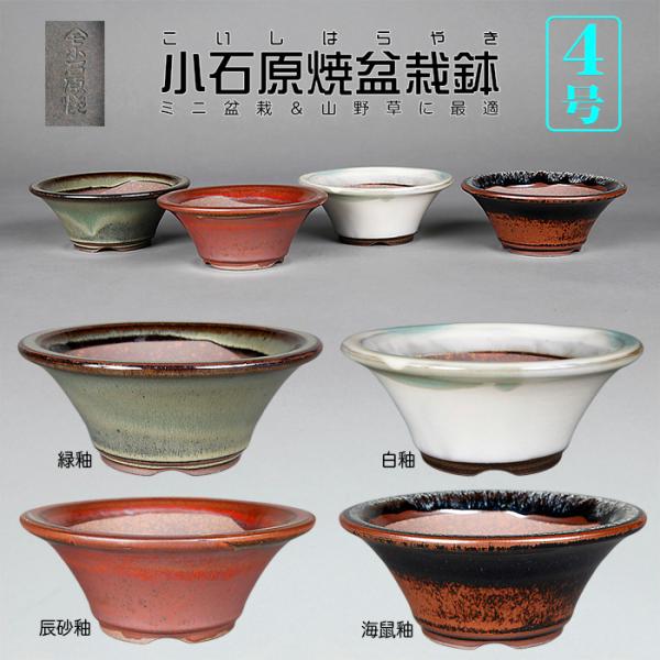 サイズ：口径12.5cm高6cm商品解説　伝統を受け継ぐ釉薬使いの面白さと発色の変化が美しい小石原焼。水捌けの良い胎土は培養面でも優れています。また薄手ながら堅焼されたボディは耐久性も抜群。これだけ高品質ながらリーズナブルな価格設定も魅力。...