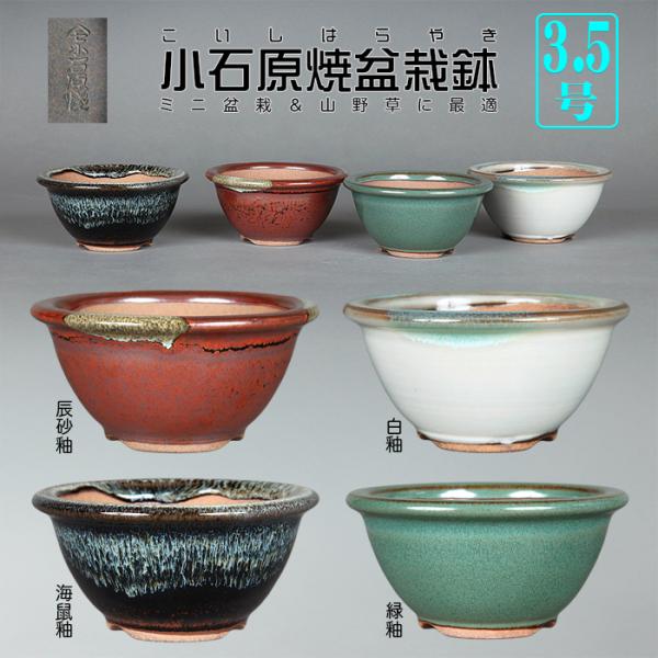 サイズ：口径11cm高5.5cm商品解説　伝統を受け継ぐ釉薬使いの面白さと発色の変化が美しい小石原焼。水捌けの良い胎土は培養面でも優れています。また薄手ながら堅焼されたボディは耐久性も抜群。これだけ高品質ながらリーズナブルな価格設定も魅力。...