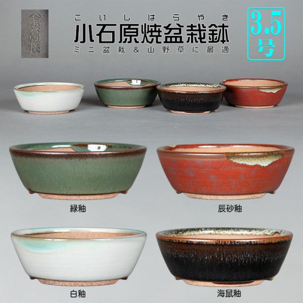 サイズ：口径11cm高4cm商品解説　伝統を受け継ぐ釉薬使いの面白さと発色の変化が美しい小石原焼。水捌けの良い胎土は培養面でも優れています。また薄手ながら堅焼されたボディは耐久性も抜群。これだけ高品質ながらリーズナブルな価格設定も魅力。まさ...