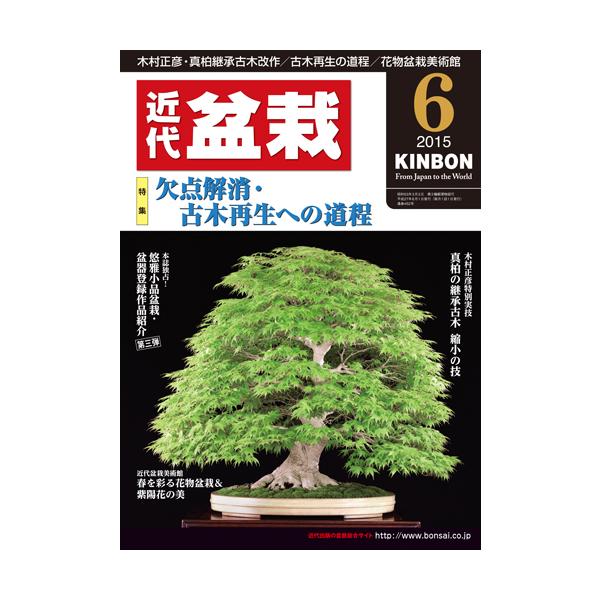 盆栽の魅力・育て方・楽しみ方を、お伝えする盆栽総合誌です。創刊より30余年、日本国内はもちろん世界各国で「KINBON」と呼ばれるようになりました。全国のプロによる懇切丁寧な実技指導、折々の展示会速報、美しい写真による名品紹介に加え、通信販...
