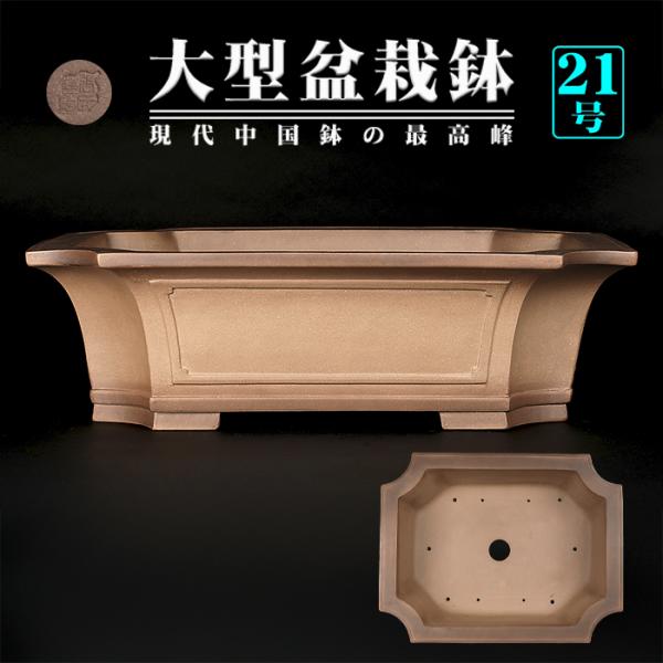 外寸：左右63.5cm奥行49.5cm高19cm内寸：左右54cm奥行41cm高15cm商品解説現代中国鉢最高級泥鉢 在庫限りの貴重品　 この張氏製陶の盆栽鉢は2010年前後に中国宜興の窯元に発注、生産されたものです。リーズナブルで品質の高...