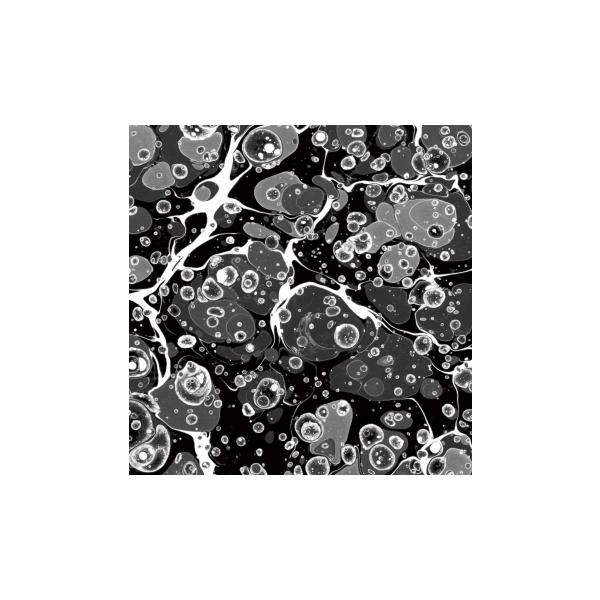 【発売日：2023年12月01日】発行：スローガン著者：水谷孝