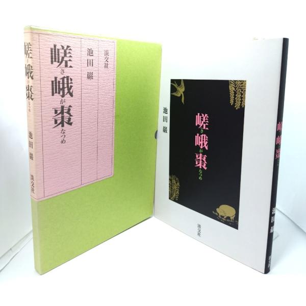 ・本の形態 ：大型本(函付き)・本のサイズ ：26×18.5cm・ページ数 ：158p・発行年月日 ：2003年4月10日(初版)・ISBN ：9784473019868◆本の状態：非常に良い。・函の裏バーコードに自由価格本の赤い楕円シール...