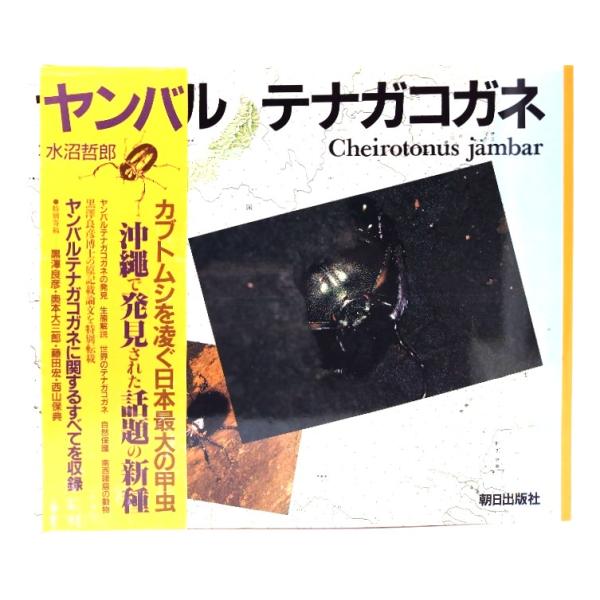 ・本の形態：大型本・サイズ：23×27cm・ページ数：103p・発行年：1984年7月25日(第1刷)・ISBN ：なし◆本の状態：非常に良い。