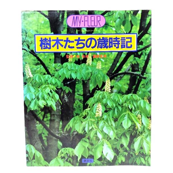 ・本の形態：大型本・サイズ：26×21cm・ページ数：296p・発行年月日：1984年3月26日(第1刷)・ISBN： 9784061413856◆本の状態：良好・表紙カバー/裏表紙に色褪せあり。裏側にうすいシミ少しあり。・本体/天にうすい...