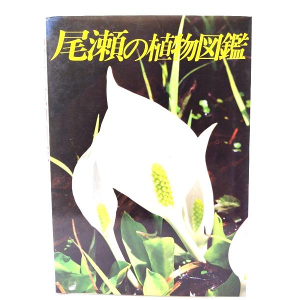 ・本の形態：単行本ソフトカバー・サイズ：18×13cm・ページ数：184p・発行年：1991年3月(第3刷)・初版年：1987年4月・ISBN ：9784035290407◆本の状態：良好・表紙カバーに擦れあり。・本体、本文(図版)ページ内...