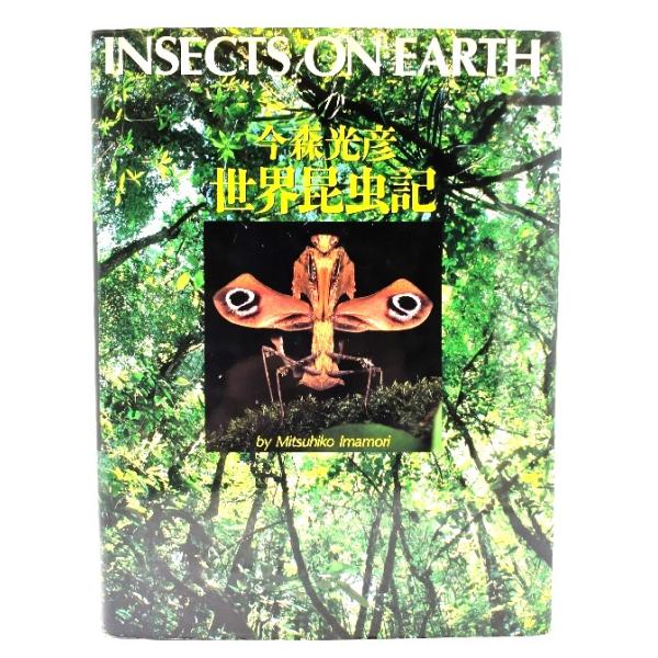 ・本の形態：大型本・サイズ：31×24cm・ページ数：333p・発行年：1995年5月25日(初版第4刷)・初版年：1994年4月30日・ISBN： 9784834001792◆本の状態：良好・表紙カバー/背の上部に破れあり。(裏側にセロテ...