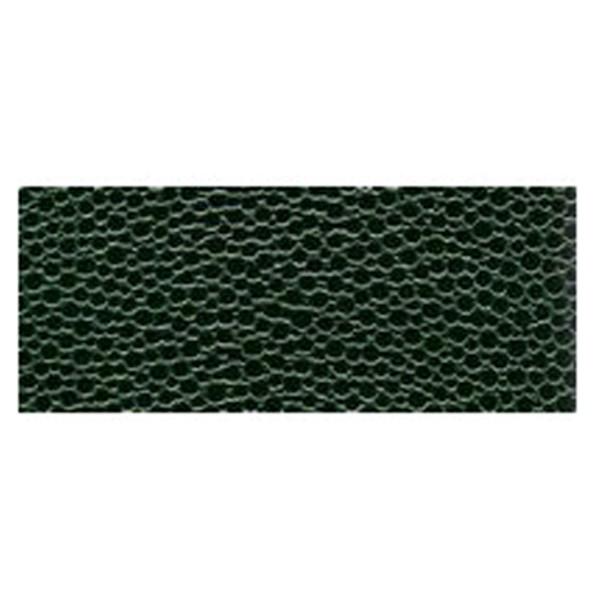 「スカイバーテックス」または「スキバルテックス」と呼ばれる、革のような質感を特徴としたアメリカ製の洋紙です。経年変化を抑えるアシッドフリー(Acid-Free)・リグニンフリー(Lignin-Free)なので、安心してお使いいただけます。濃...