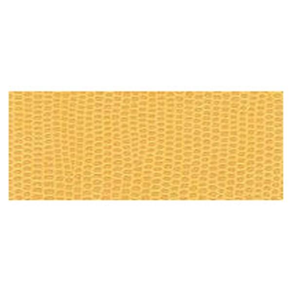 「スカイバーテックス」または「スキバルテックス」と呼ばれる、革のような質感を特徴としたアメリカ製の洋紙です。経年変化を抑えるアシッドフリー(Acid-Free)・リグニンフリー(Lignin-Free)なので、安心してお使いいただけます。サ...