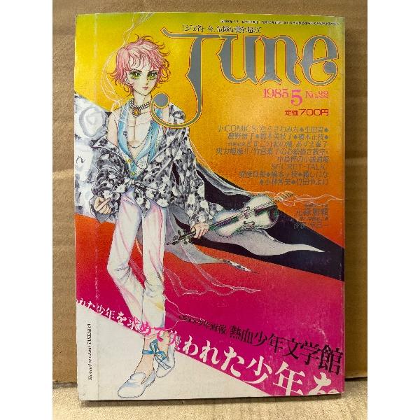 鈴木実枝子・坂田靖子・たらさわみち・橋本正枝・鹿野景子 他　いま、危険な愛を超えて。サン出版。表紙にスレキズ/多少の経年シミヨゴレ等や小口に少しのヤケ感があります。それ以外は特に目立つ大きなイタミはなく、その他ページは経年の割に良好な状態です。