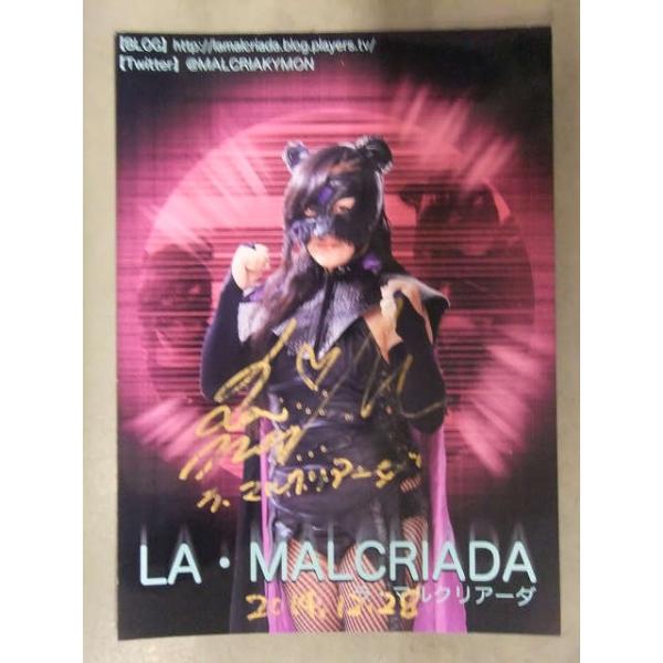 少しのスレなどがある以外は特に目立つ大きなダメージはなく、比較的使用感の少ないキレイな状態です