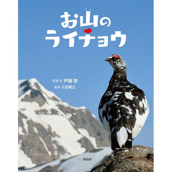 ※商品画像はイメージや仮デザインが含まれている場合があります。帯の有無など実際と異なる場合があります。写真:戸塚学　監修:・文小宮輝之出版社:偕成社発売日:2022年07月キーワード:お山のライチョウ戸塚学・文小宮輝之 えほん 絵本 プレゼ...