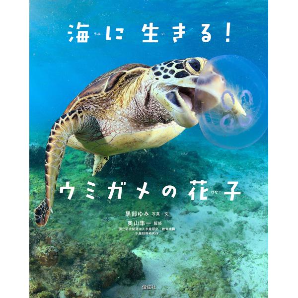 ※商品画像はイメージや仮デザインが含まれている場合があります。帯の有無など実際と異なる場合があります。写真:黒部ゆみ　監修:・文奥山隼一出版社:偕成社発売日:2022年09月キーワード:海に生きる！ウミガメの花子黒部ゆみ・文奥山隼一 えほん...
