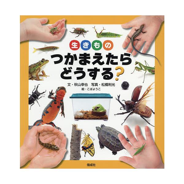 ※商品画像はイメージや仮デザインが含まれている場合があります。帯の有無など実際と異なる場合があります。文:秋山幸也　写真:松橋利光　絵:こばようこ出版社:偕成社発売日:2014年07月キーワード:生きものつかまえたらどうする？秋山幸也松橋利...